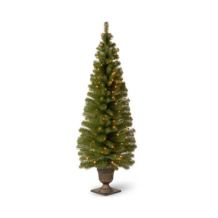 National Tree Company 6 Ft. Montclair Spruce Lighted Entrance Tree ...