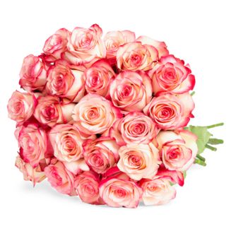 BloomsyBox Pretty in Pink Tea Roses | Bloomingdale's