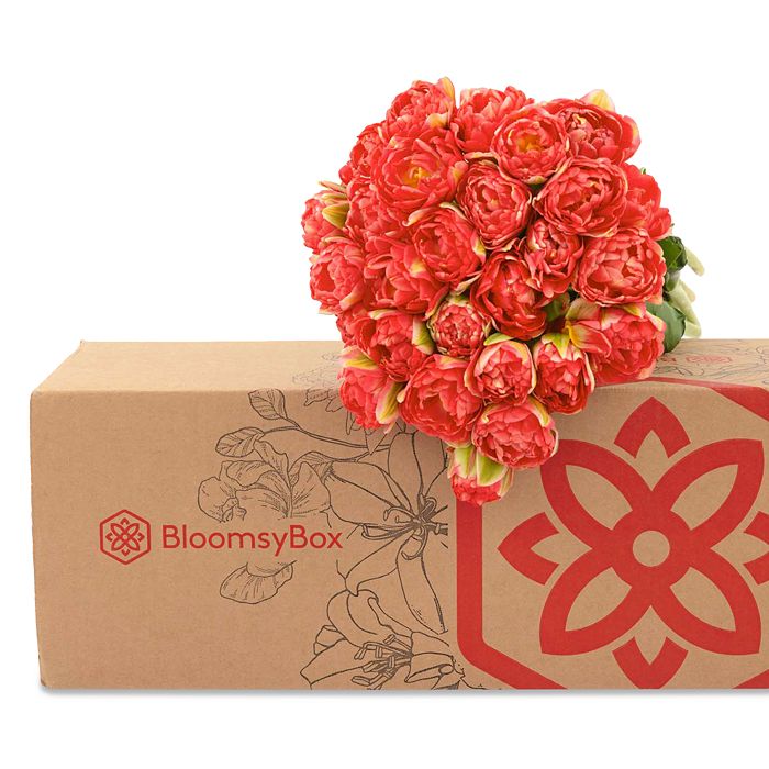 BloomsyBox Red Peony Tulips | Bloomingdale's