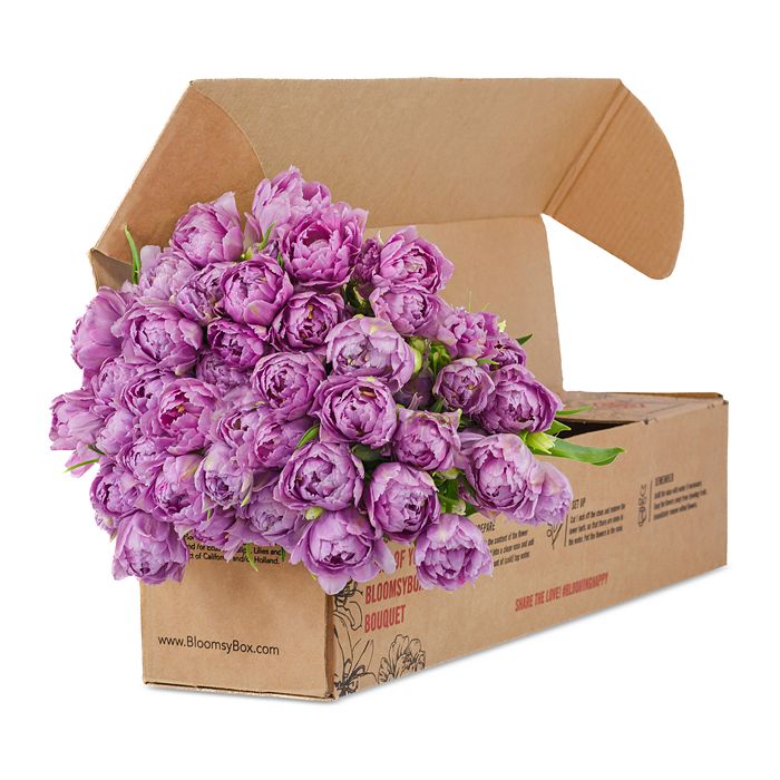 BloomsyBox 50 Lavender Double Peony Tulips | Bloomingdale's