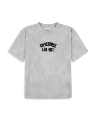 Click here for abercrombie kids Boys Arched Embroidery Tee - Big... prices