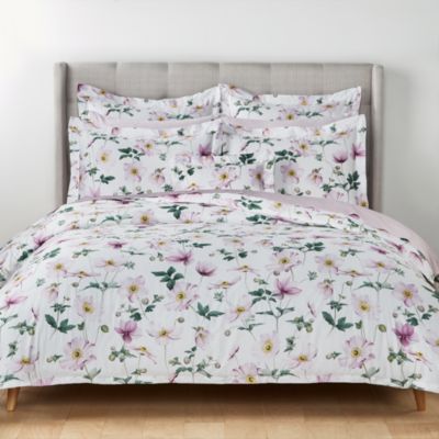 Schlossberg Clara Blanc Flanged Cotton Euro Sham | Bloomingdale's