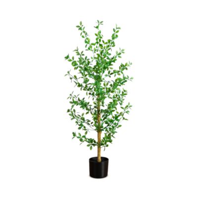 Click here for Nearly Natural 4 Artificial Shady Lady Black Olive... prices