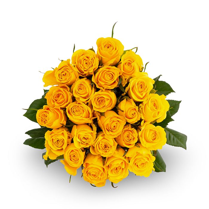 BloomsyBox 24 Yellow Roses | Bloomingdale's