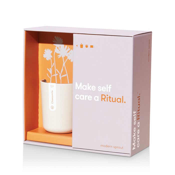 Modern Sprout Ritual Tea Gift Set | Bloomingdale's