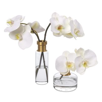 Diane James Home Phalaenopsis Faux Floral Orchids - Set of 2 ...