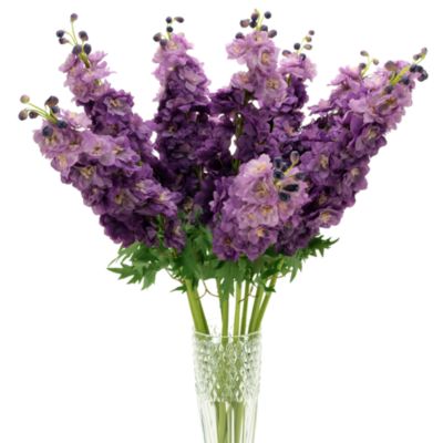 Click here for Mark Roberts Delphinium Stem  Set of 12 prices