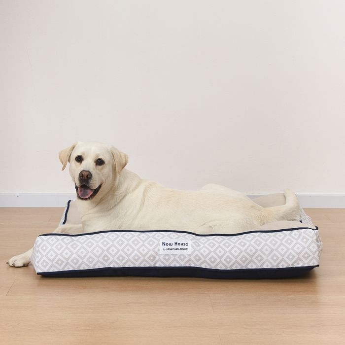 Jonathan Adler Now House for Pets Cushion Dog Bed | Bloomingdale's