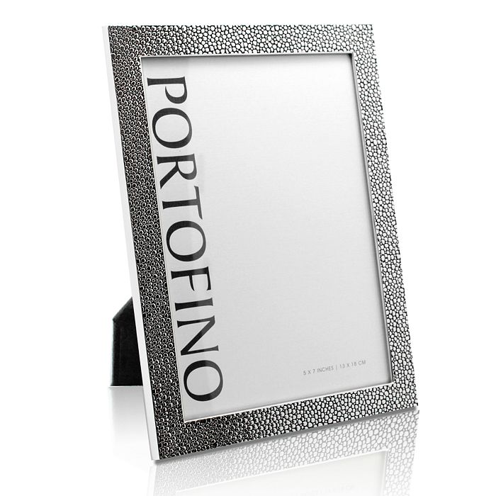 Argento SC Portofino by Argento Silver Reptile Frame, 5" x 7 ...
