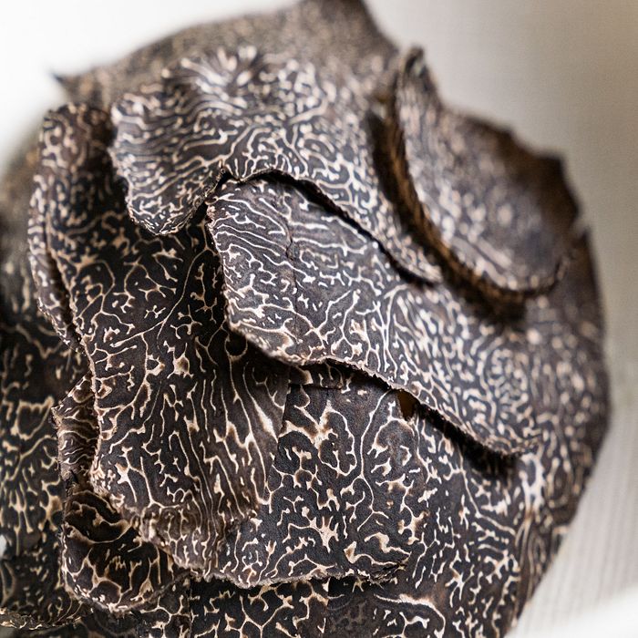 Trufflin 2 Oz. Whole Fresh Black Winter Truffles | Bloomingdale's
