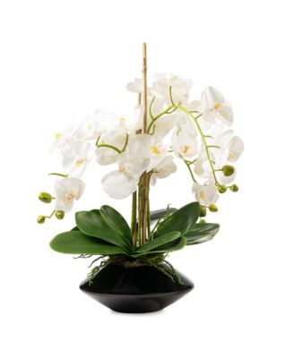Click here for Domani Home Orchid in Tapered Vase prices