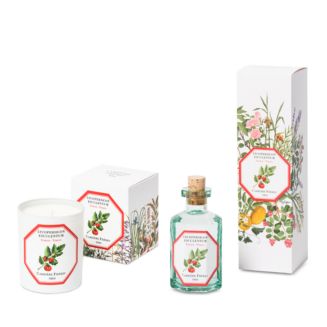 Carriere Freres Tomato Home Fragrance Collection | Bloomingdale's