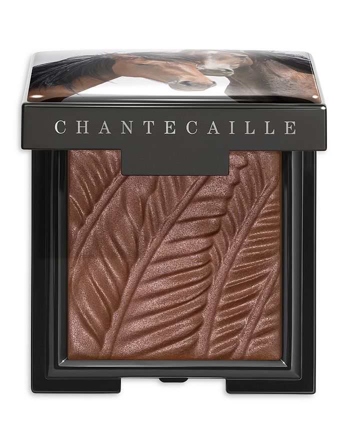 Chantecaille Wild Mustang Matte Eye Shade | Bloomingdale's
