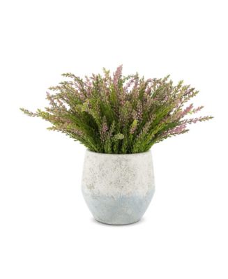 CocoBella Calluna Arrangement | Bloomingdale's