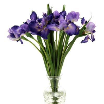 Click here for Mark Roberts Iris Stem  Set of 12 prices
