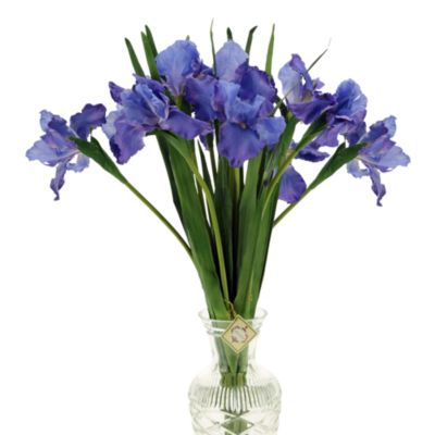 Click here for Mark Roberts Iris Stem  Set of 12 prices