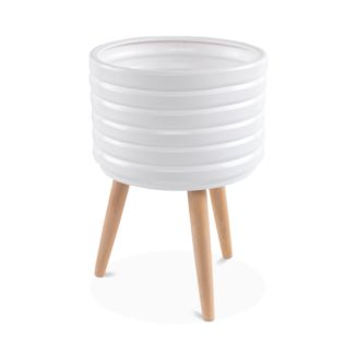 Surya Tall Orchid Planter | Bloomingdale's