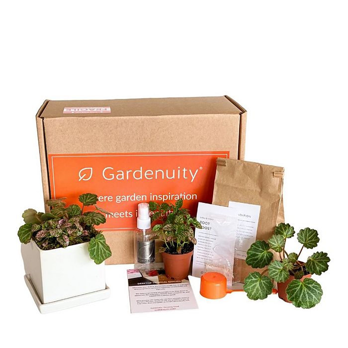 Gardenuity Mini Tropical Desktop Garden | Bloomingdale's