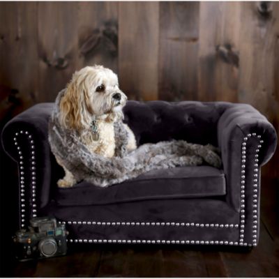Designer Pet Accessories - Bloomingdale's