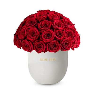 Rose Box NYC 50 Rose Half Ball Arrangement | Bloomingdale's