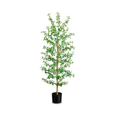Click here for Nearly Natural 5 Artificial Shady Lady Black Olive... prices