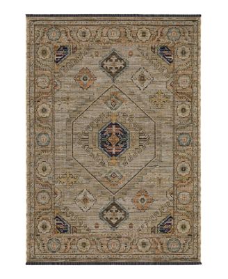 Click here for Oriental Weavers Legacy LGY11 20 X 30 Area Rug prices