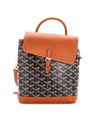Click here for Pre-Owned Goyard Mini Alpin Backpack Coated Canvas prices