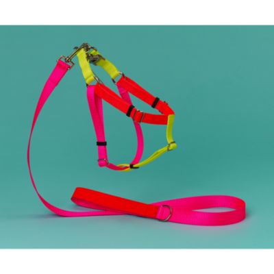 Ware of the Dog Nylon Colorblock Harness, Large | Bloomingdale's