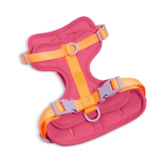 Wild One Isaac Cosmo Harns Cushioned Pet Harness | Bloomingdale's