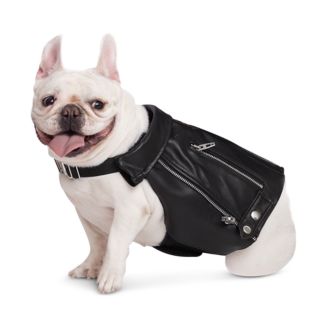BLANKNYC Dog Moto Jacket | Bloomingdale's Home