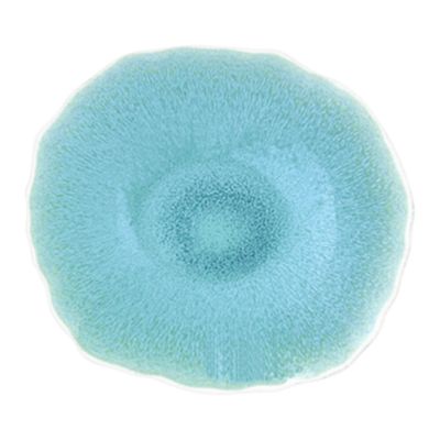 Click here for Jars Plume Bread & Butter Plate prices