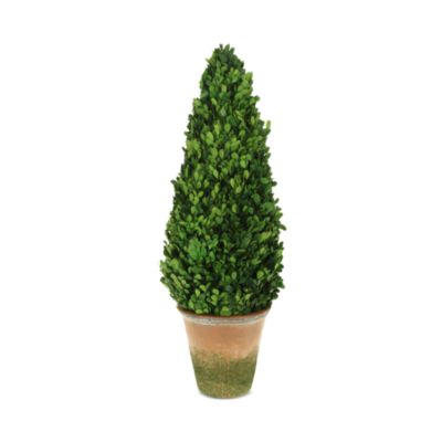 Click here for Mark Roberts Boxwood Potted Cone Topiary prices